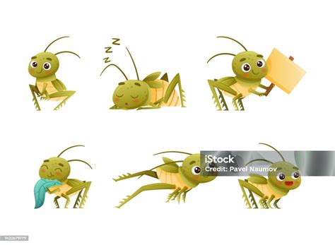 귀여운 작은 메뚜기 캐릭터 다양한 활동 벡터 세트에 종사 곤충에 대한 스톡 벡터 아트 및 기타 이미지 곤충 귀여운 다리 신체 부분 Istock