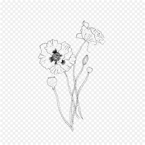 黑白花卉创意装饰图案png图片素材下载图片编号yoawgrvy 免抠素材网