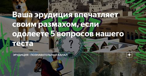 Ваша эрудиция впечатляет своим размахом если одолеете 5 вопросов нашего теста Эрудиция
