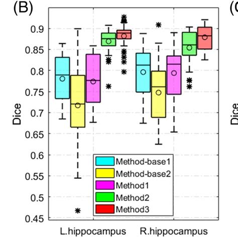 a comparison of dice similarity coefficient measures obtained by the