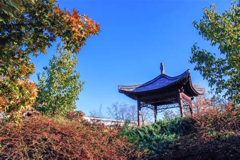 山顶上的亭子图片素材 山顶上的亭子设计素材 山顶上的亭子摄影作品 山顶上的亭子源文件下载 山顶上的亭子图片素材下载 山顶上的亭子背景素材 山顶