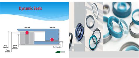 Dynamic Seals Something You Need To Know Professional Rubber Compounding And Rubber Seal