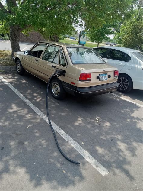 Oopsie Daisy R Facepalm