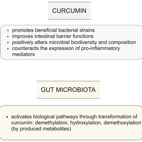 Interplay Between Curcumin And Gut Microbiota Based On 141523 Download Scientific Diagram