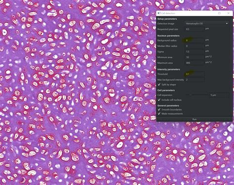 cell detection and cell count automatically image analysis image sc