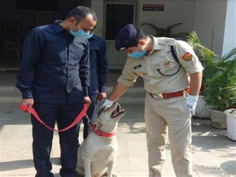 Ghaziabad Police Dog Squad Leena Solved Blind Murder Case गाजियाबाद