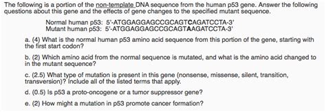 Solved The Following Is A Portion Of The Non Template Dna