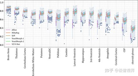3D医疗图像配准 基于Vision Transformer Pytorch实现的3D医疗图像配准算法 知乎