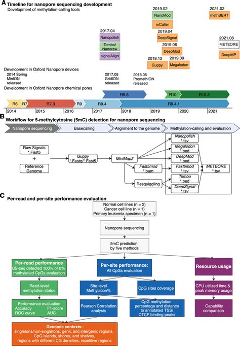 Technological Development Of Methylation Calling Tools And Benchmark Download Scientific