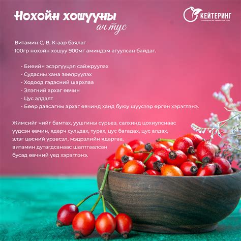 Ubtz Catering Нохойн хошууны ач тус 🍒 Нохойн хошуу Facebook