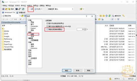【新手建站系列】winscp 使用图形界面管理linux服务器的文件 分享喵