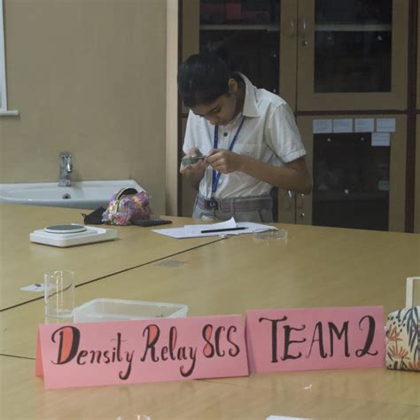 Lab Activity Measurement Of Density To Understand Floating And Sinking Of An Object