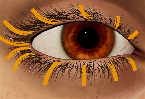 Solved Xgen Not Rendering Properly In Vray Autodesk Community