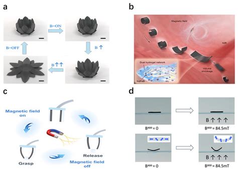 Hydrogel Based Continuum Soft Robots