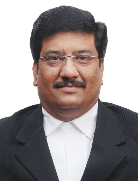 Women Adv Case Order Honourable Mr Justice N Anand Venkatesh Wp No 25017 Of 2025 And Wmp Nos