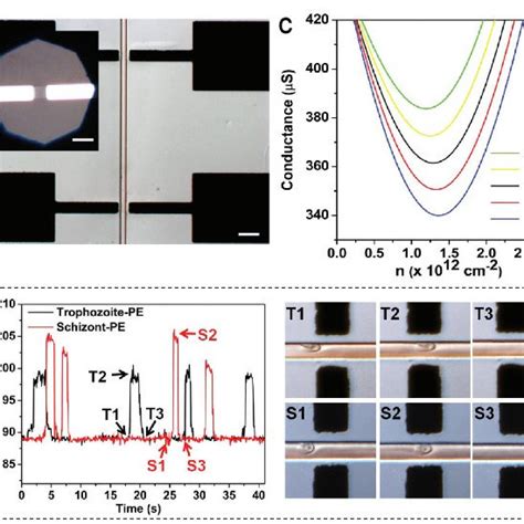 Optical Biosensors Based On Evanescent Wave Detection The Properties Download Scientific