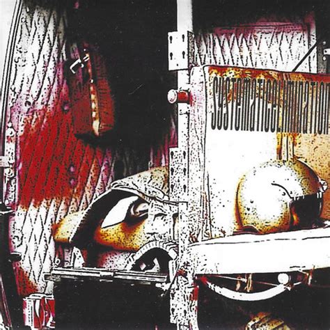 Systematic Elimination Systematic Elimination Winter Rose