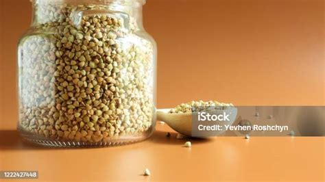 나무 숟가락유리 시리얼 항아리에 생 유기농 메밀의 녹색 콩나물 비건 음식 개념 유기농 식품 다이어트의 개념 체중 감소 건강 하 고 적절 한 영양 텍스트의 공백 복사 갈색에