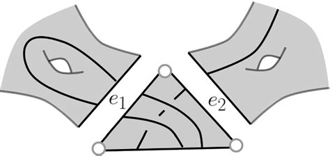 a depiction of a possibly disconnected surface with boundary edges