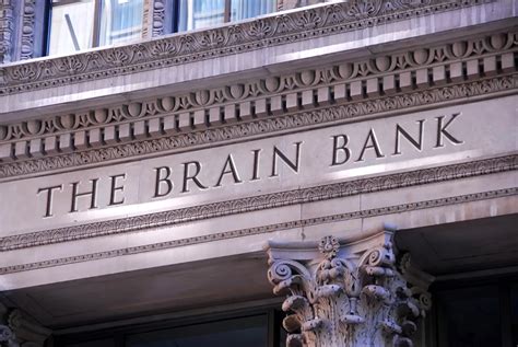 A New Perspective On Aging Cognitive Reserve Explained