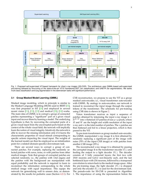 Ss Cxr Multitask Representation Learning Using Self Supervised Pre Training From Chest X Rays