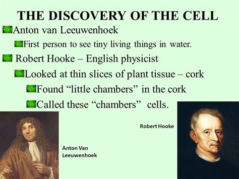 Anton Van Leeuwenhoek Cell Theory