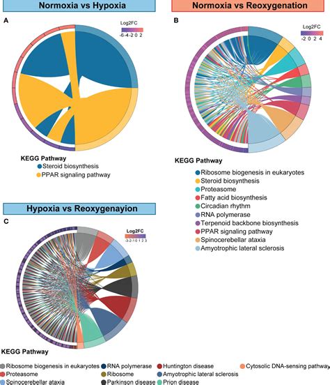 Frontiers Histological Microecological And Transcriptomic