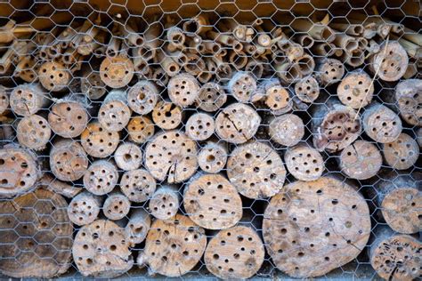 Bug Hotel Insect Overlapping Perforated Wooden Tree Branches House Hut Gives Protection And Nest