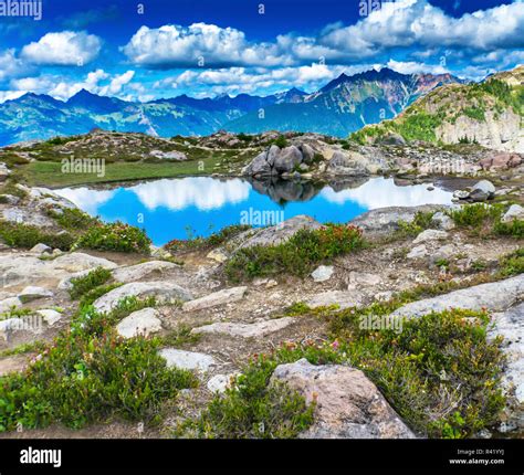 Pond Reflection During Summer Artist Point Mount Baker Highway