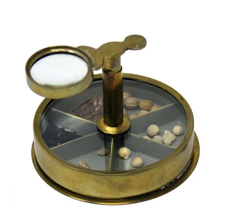 Seed Microscope Fleaglass