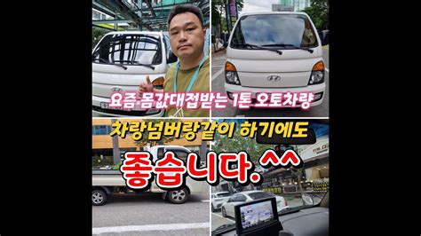 포터2오토 차랑넘버랑같이 영업용넘버랑차랑 포터2오토슈퍼캡 Youtube