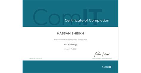 Go Golang • Hassan Sheikh • Comit Recoding Futures Hassan Omar