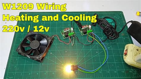 Wiring For W1209 Heating And Cooling 12v And 220v Youtube
