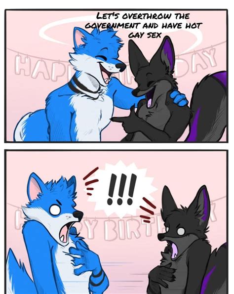 Meeting Your New Best Friend Rfurrymemes