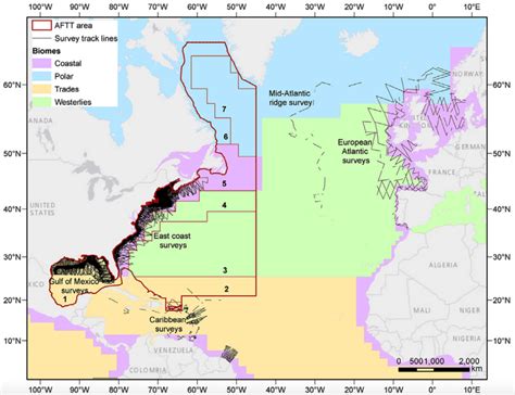 Map Of Cetacean Line Transect Surveys Conducted In The North Atlantic Download Scientific