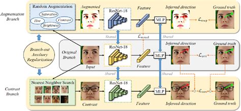 Figure 1 From Improving Domain Generalization On Gaze Estimation Via