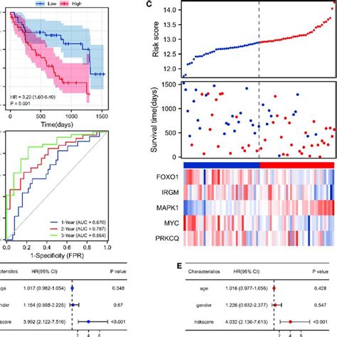 Construction Of The Autophagy Associated Prognostic Model A Download Scientific Diagram