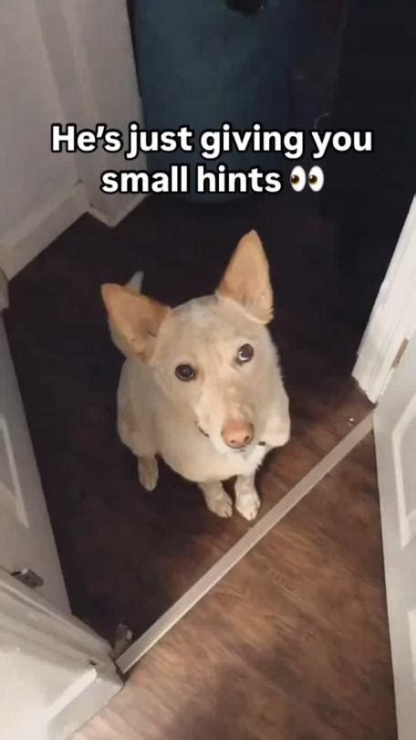 I Wonder What He Wants Tumbex
