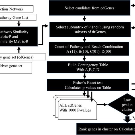 Par Flowchart Par Driver Gene Prediction Method Pseudocode Flowchart