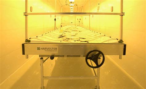 hemp container farm scalable and efficient way to farm