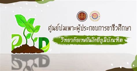 หน้าแรก