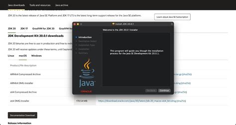 Installing And Managing Java On Macos Snyk