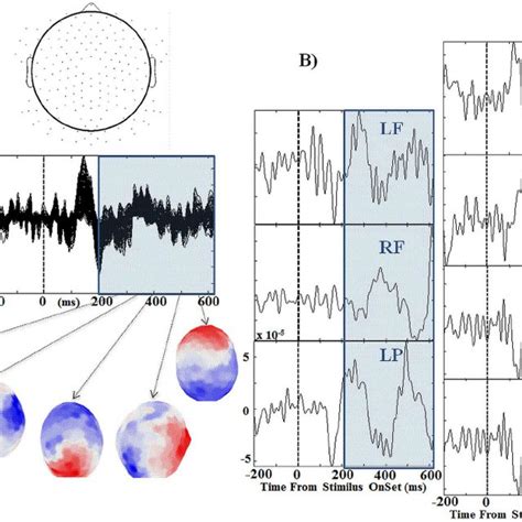 Eeg Signals And Its Reconstructed Sources A The Recorded Evoked Download Scientific Diagram