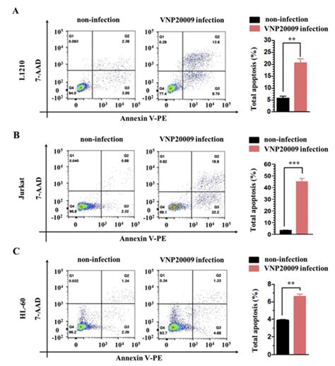 千万别错过6肿瘤sci文章—vnp20009对急性白血病的抑制作用 公司新闻 上海乐备实生物技术有限公司