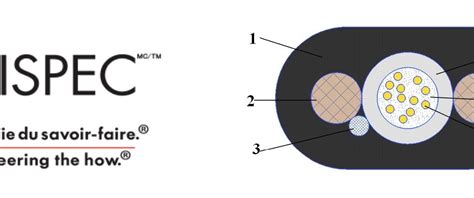 Spring Builds Outside Plant Trispec