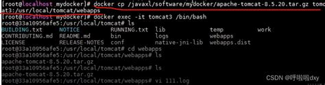 docker宿主机与容器之间的文件拷贝实例详解 docker 脚本之家