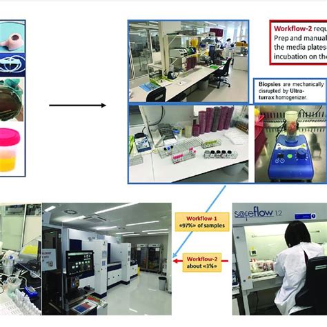 Total Lab Automation Workflows A Supposed Advantage Of Tla In Download Scientific Diagram