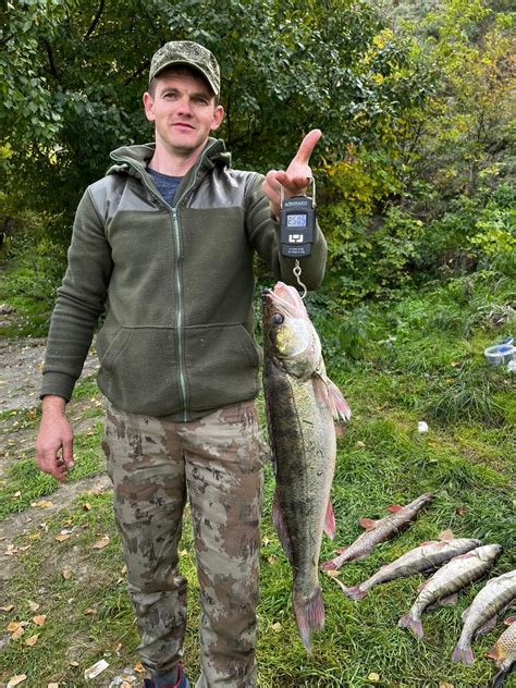 Отчет о рыбалке залив Ерзовка — Ерзовское городское поселение — Южный федеральный округ