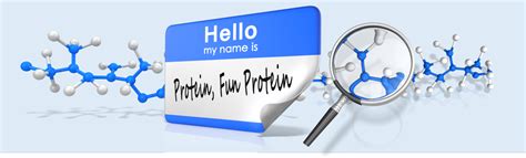 Protein Characterization And Identification What To Know