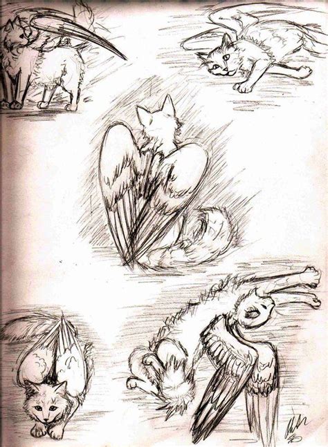 Cat Wings By PatchedFox On DeviantART Cats Art Drawing Sketchbook Art Inspiration Book Art